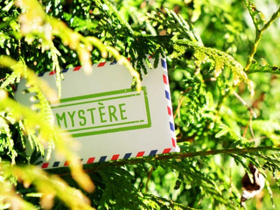 Indice Chasse Au Trésor Le Guide